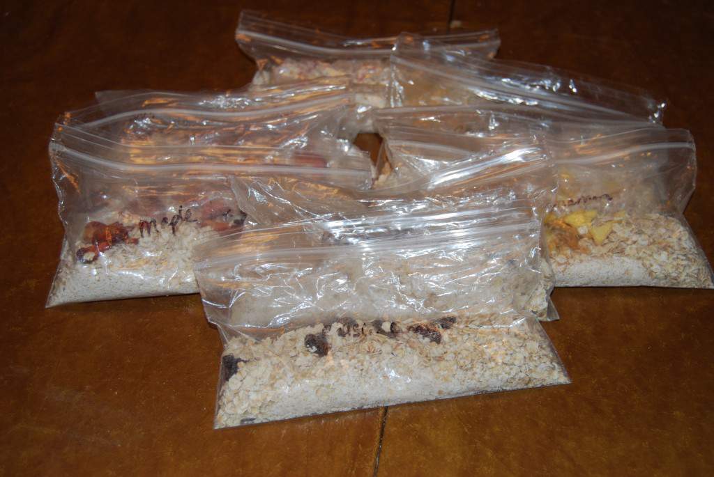 MYO:Homemade Oatmeal Packages | Frugal Family Home