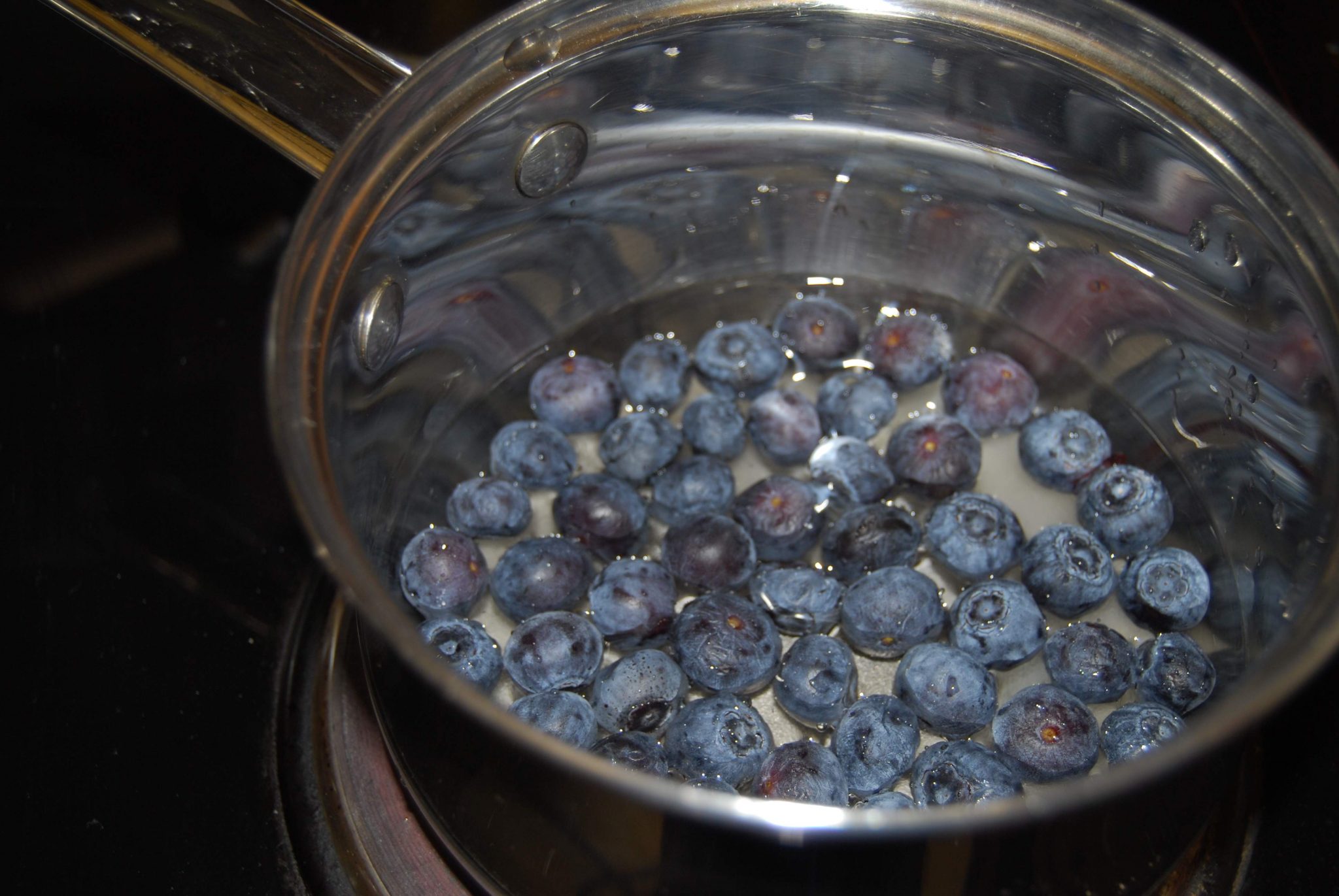 Easy Blueberry Sauce | Frugal Family Home