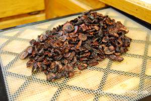 Drying Cherries, Dehydrator, Oven Method or Solar Method | Frugal ...