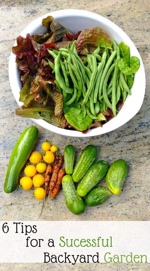 Gardening Guide, Growing Bush Peas | Frugal Family Home