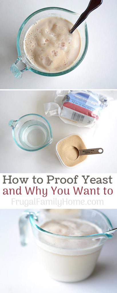 How to Proof Yeast and Why You Want To | Frugal Family Home