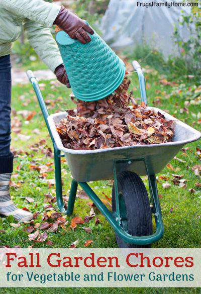 Fall Garden Chores, What to Do Before Winter Comes | Frugal Family Home