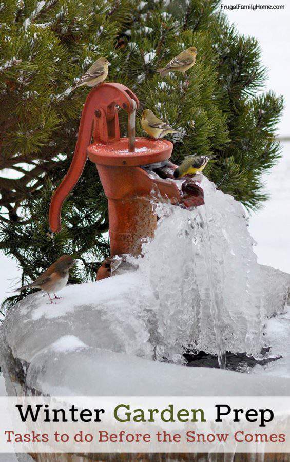 Winter Garden Prep, Tasks to Do before the Snow Arrives | Frugal Family ...