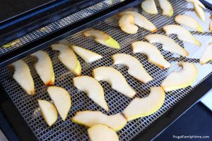 How to Perfectly Dry Pears | Frugal Family Home